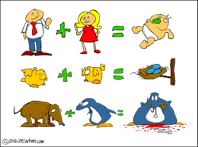 Math! - Joe Cartoon
